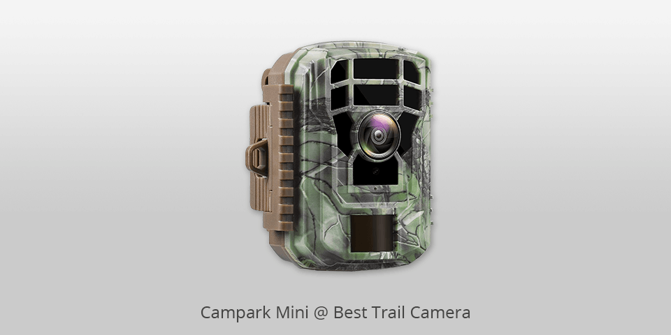 7 Best Trail Cameras in 2025: Ranked & Reviews