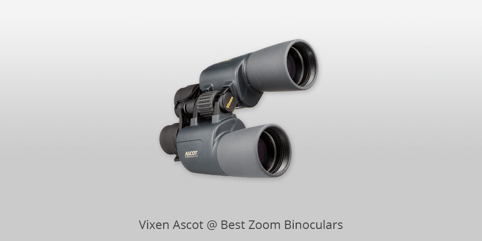 9 Best Zoom Binoculars in 2025