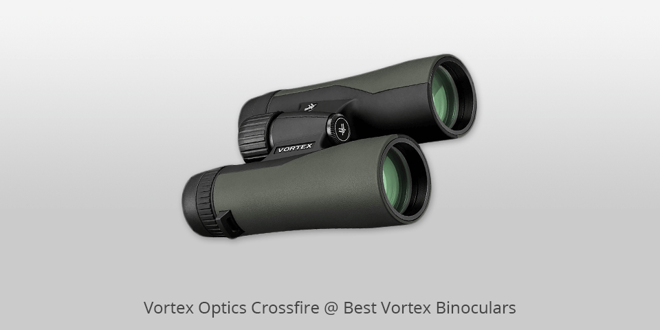 10 Best Vortex Binoculars in 2025