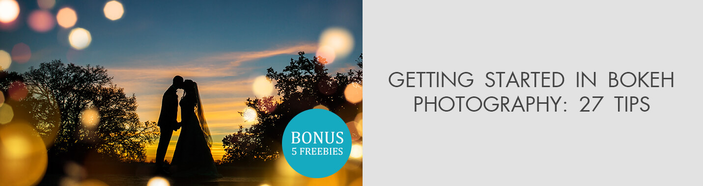 Bokeh Photography Guide: 27 Tips and Examples