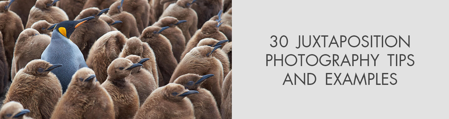 30 Juxtaposition Photography Tips & Examples