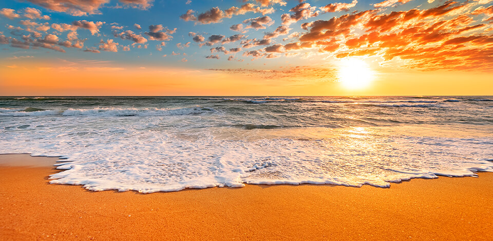 15 Sun Photography Tips for Beginners – How to Photograph in Full Sun?