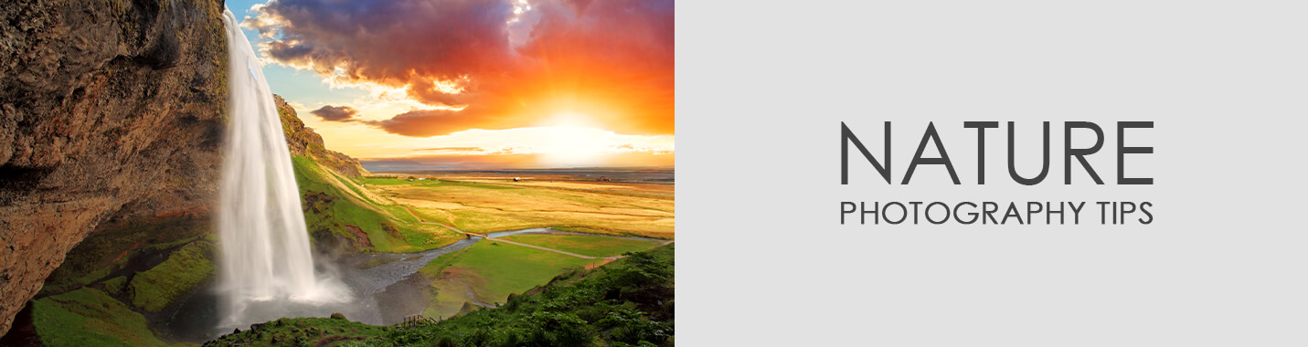 10 Nature Photography Tips for Beginners – How to Improve Your Skills?