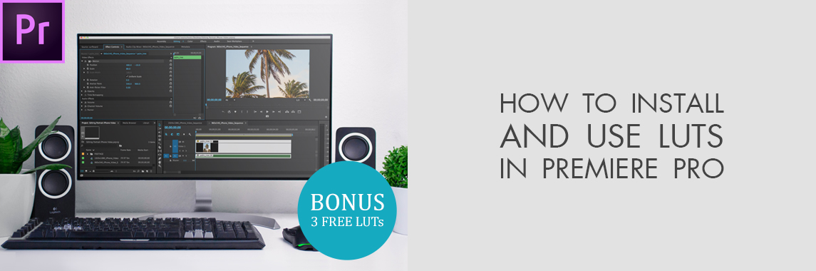 How to Install LUTs in Premiere + Free LUTs for Color Grading