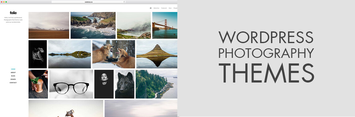 43 WordPress Photography Themes to Create Amazing Portfolio or Website
