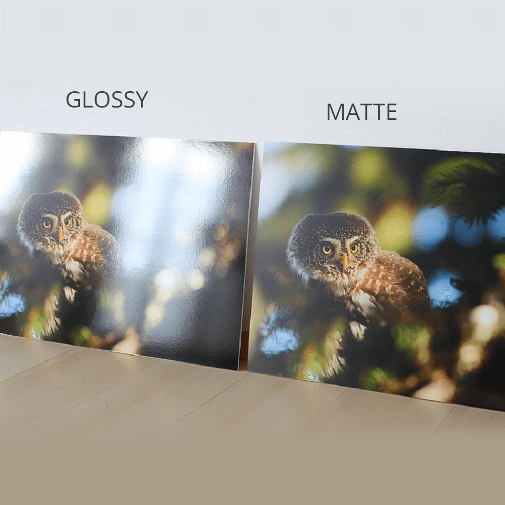 Matte Vs Glossy Photo Example