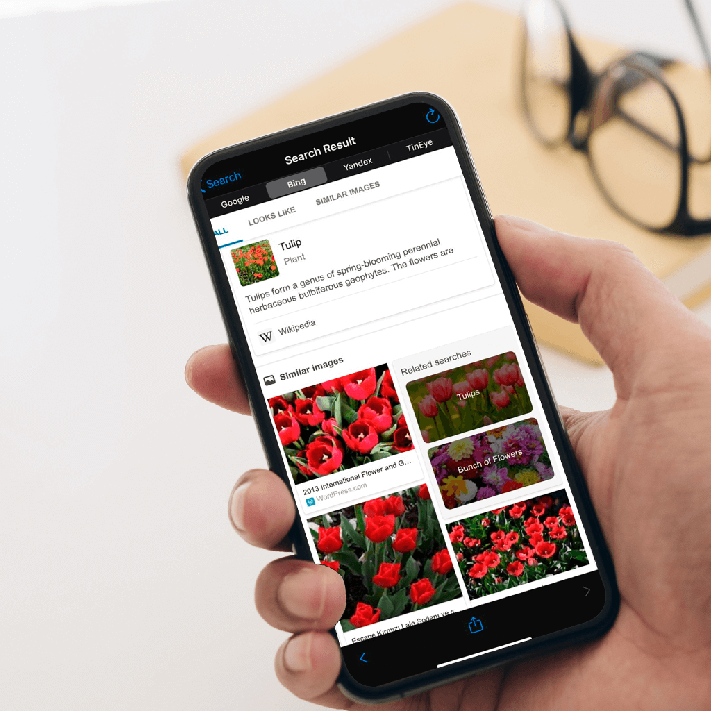 10 Best Reverse Image Search Engines Apps And Services Top 6 Best Free