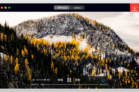 13 Best Free Video Players In 2026