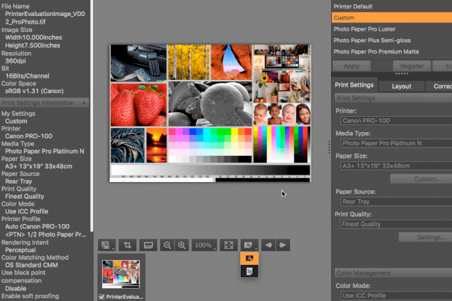 8 Best Canon Photo Printing Software in 2026