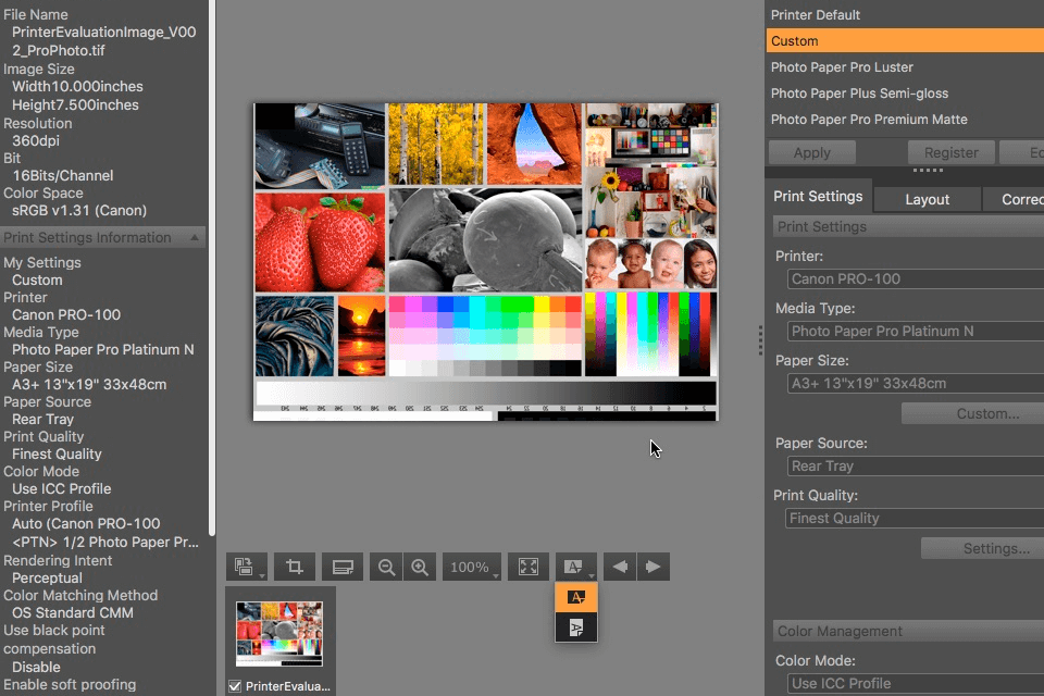 8 Best Canon Photo Printing Software In 2023