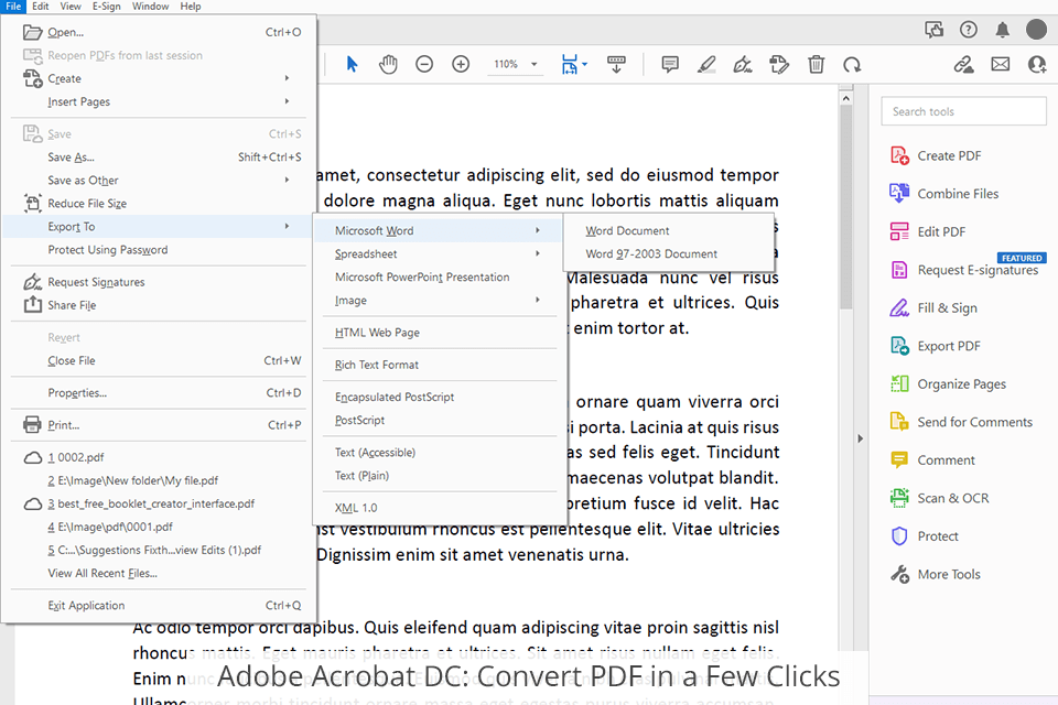 Adobe Acrobat DC vs PDF Converter Elite: Features & Pricing
