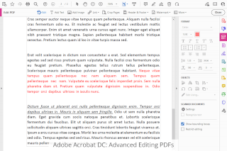 Adobe Acrobat DC vs Ashampoo PDF Pro: Which Software is Better?
