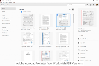 Adobe Acrobat Standard vs Pro Comparison 2025