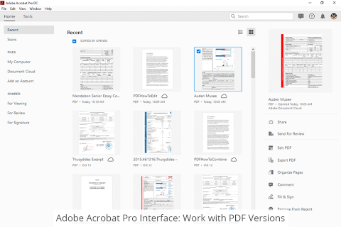 Adobe Acrobat Standard vs Pro Comparison 2025