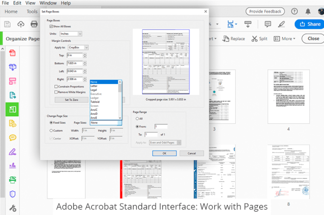 Adobe Acrobat Standard vs Pro Comparison 2025