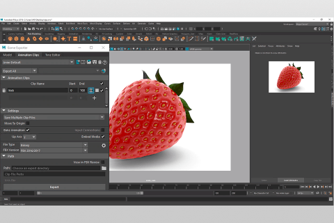 10 Adobe Animate Alternatives in 2024