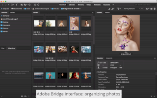 Adobe Bridge vs Lightroom 2025: Which Program to Choose?