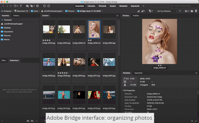 Adobe Bridge vs Lightroom 2025: Which Program to Choose?