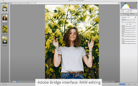 Adobe Bridge vs Lightroom 2025: Which Program to Choose?