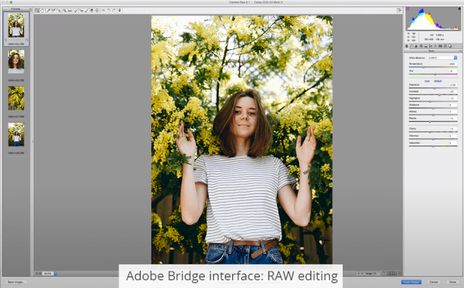 Adobe Bridge vs Lightroom 2025: Which Program to Choose?