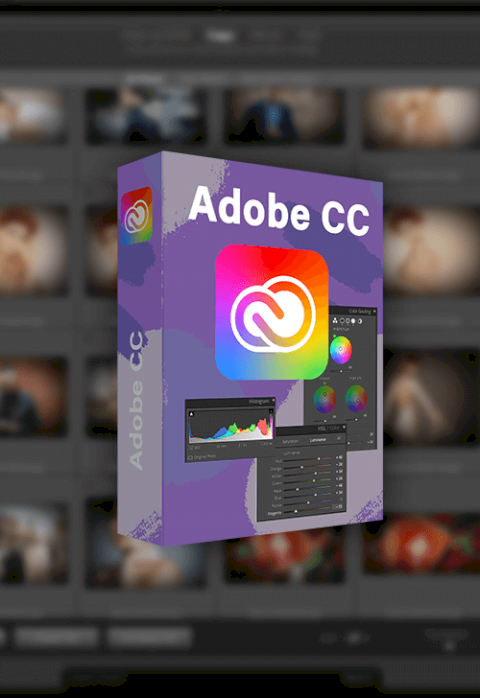 JPEG 2000 vs JPEG: Pros & Cons, Main Differences