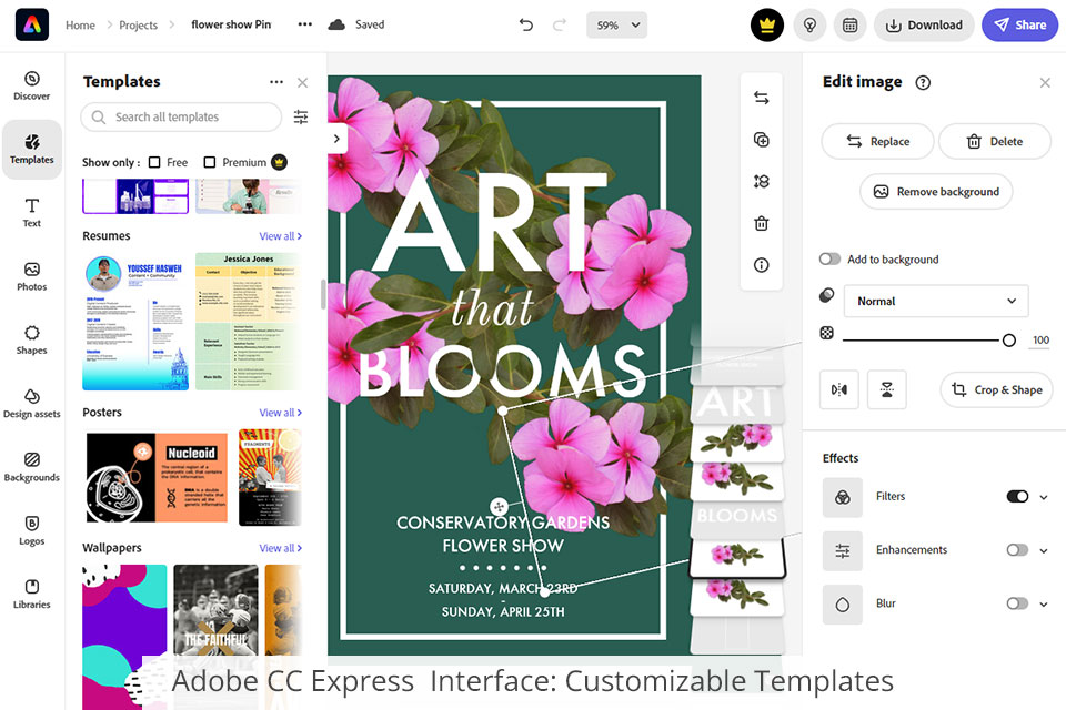Adobe Express vs Design Wizard: Which is Better?