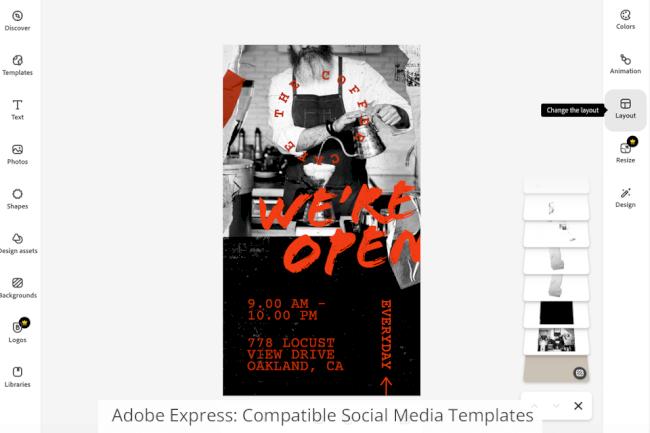 Adobe Express vs Portfolio: Which is Better?
