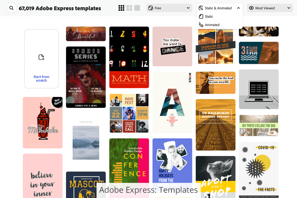 Adobe Express vs Adobe XD: Which Tool Is Better