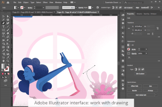 InDesign vs Illustrator: What Program to Install?