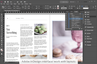 InDesign vs Illustrator: What Program to Install?