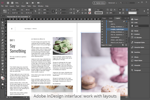 InDesign vs Illustrator: What Program to Install?