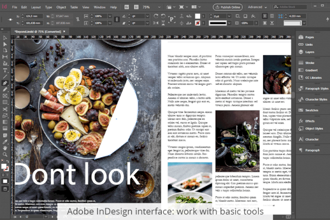 InDesign vs Illustrator: What Program to Install?