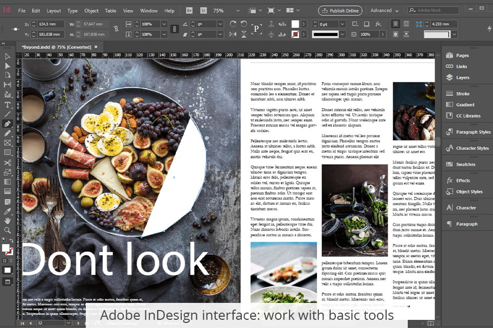 InDesign vs Illustrator: What Program to Install?
