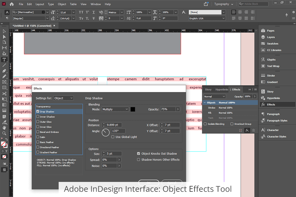 Adobe InDesign vs Pixlr: What Software to Choose