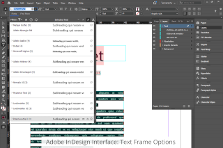 Adobe InDesign vs Pixlr: What Software to Choose