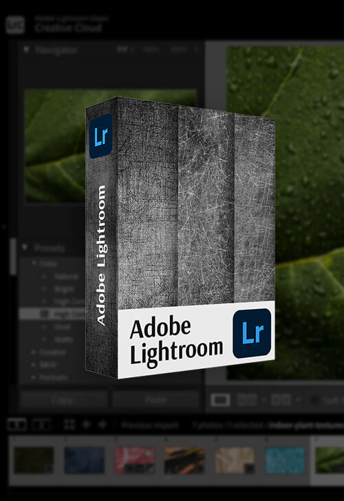 Examples of Texture in Photography: Settings & Tips