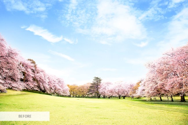 How to Fix Overexposed Areas in Photoshop: Simple Tutorial