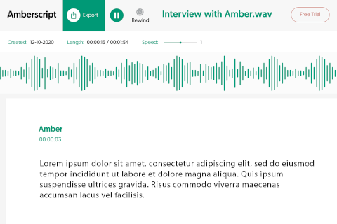 12 Best Speech to Text Software in 2025