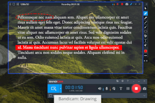 Movavi Screen Recorder vs Bandicam: What Tool Is Better?