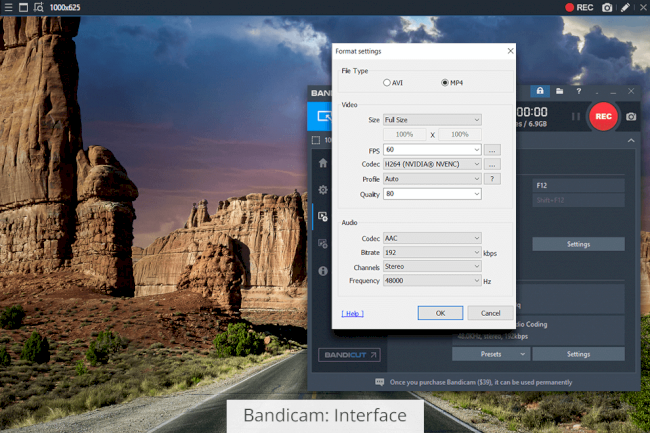 Movavi Screen Recorder vs Bandicam: What Tool Is Better?