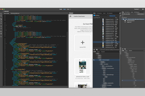 14 Best Free Web Design Software in 2025