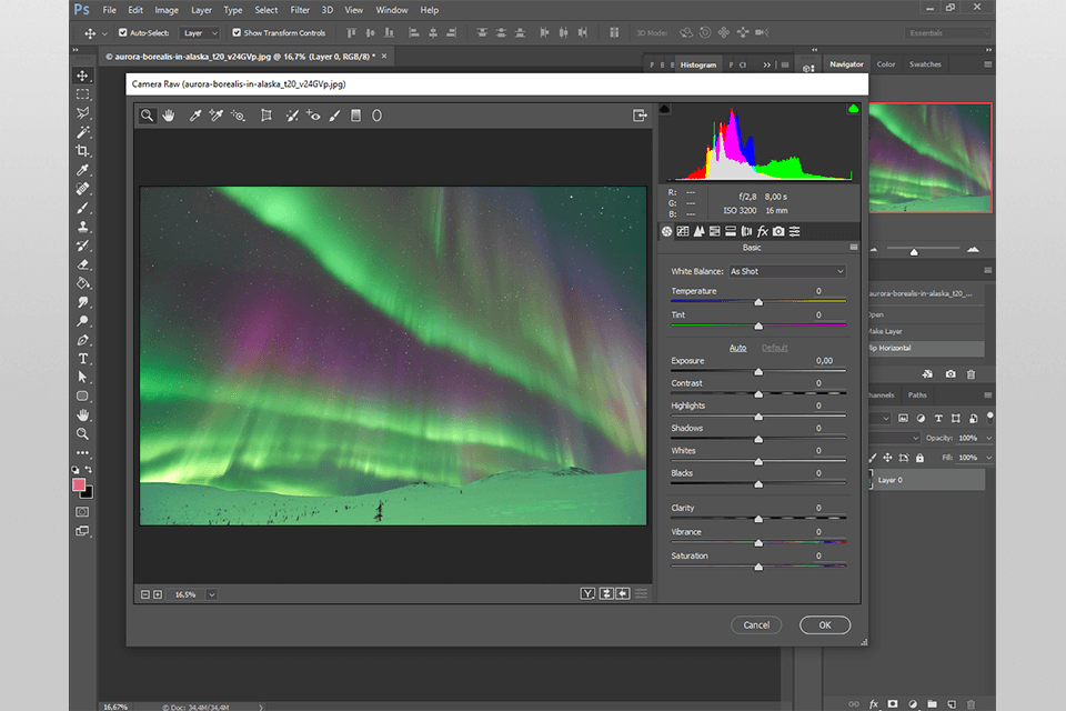 14 Best Free Web Design Software in 2025
