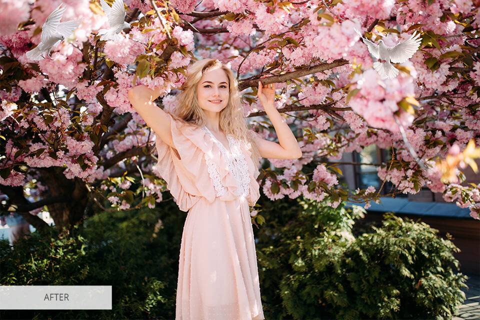 How to Use Reflectors in Photography: 12 Tips