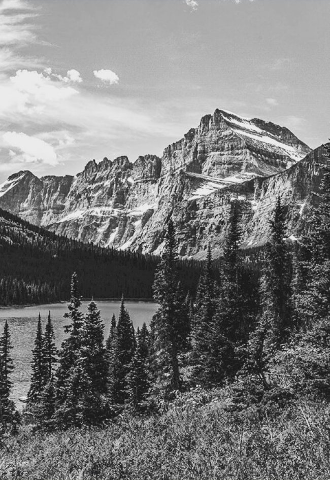 13 Essential Black And White Photoshoot Ideas & Tips