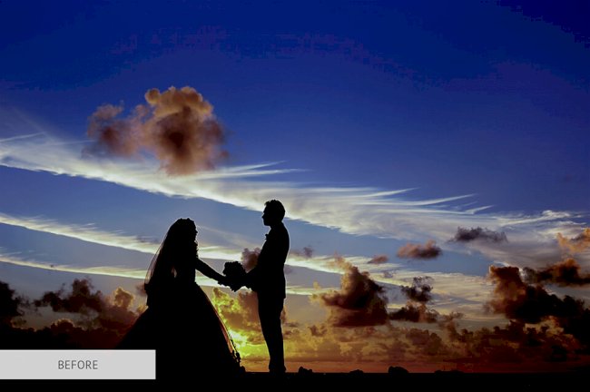 Bokeh Photography Guide: 27 Tips and Examples