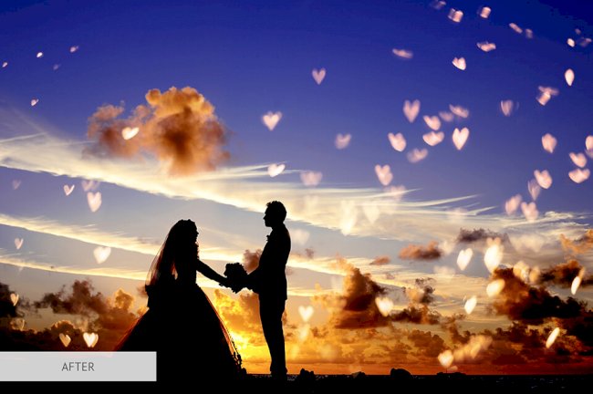 Bokeh Photography Guide: 27 Tips and Examples