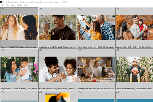 8 Best Photo Culling Software in 2025