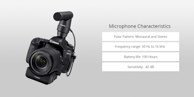 8 Best DSLR Microphones in 2024