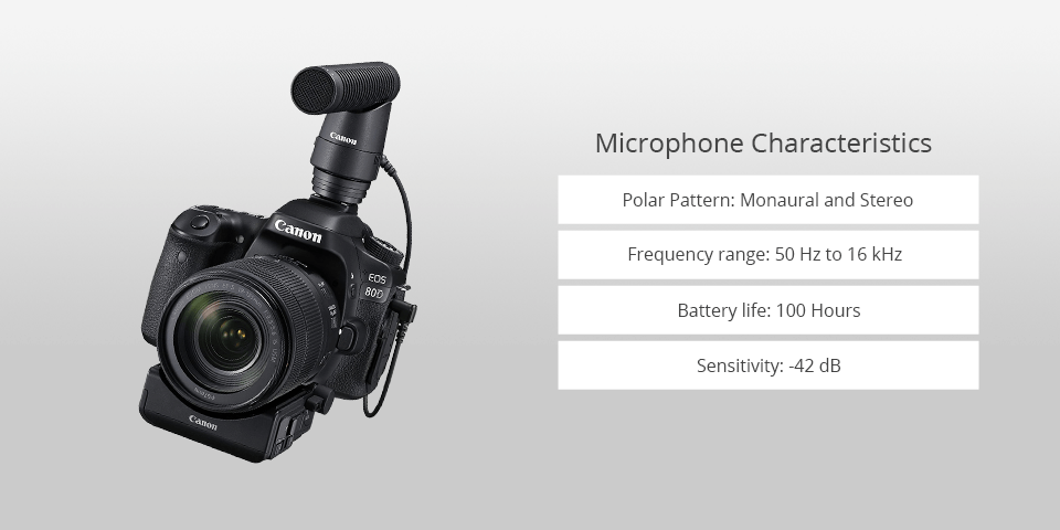 8 Best DSLR Microphones in 2024