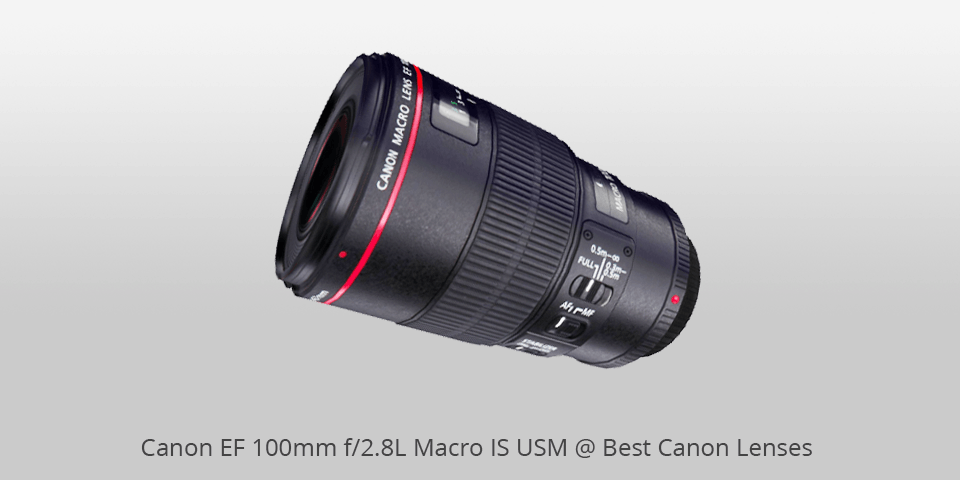 11 Best Canon Lenses for Every Photographer in 2026